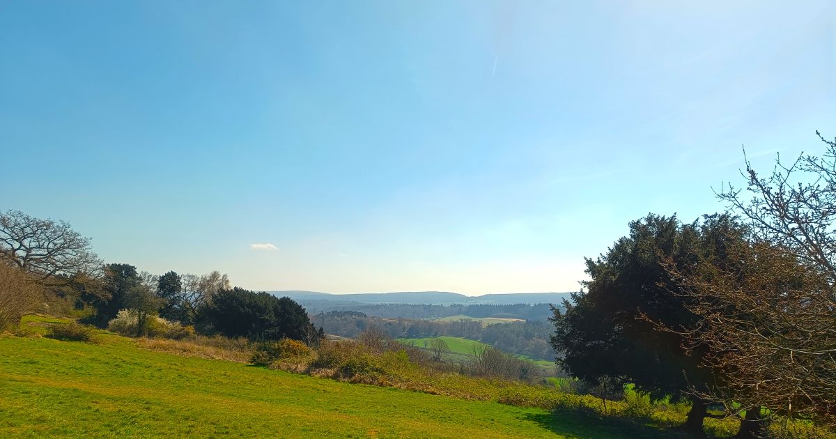 Newlands Corner and the Chantries followed by picnic - Ramblers